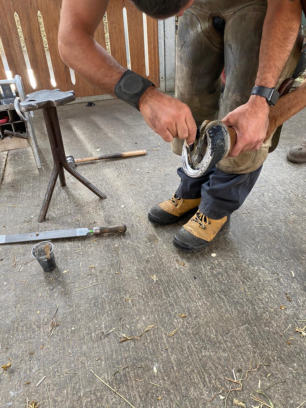 Glueing/Bonding on shoes - Gavin Moody Farriers